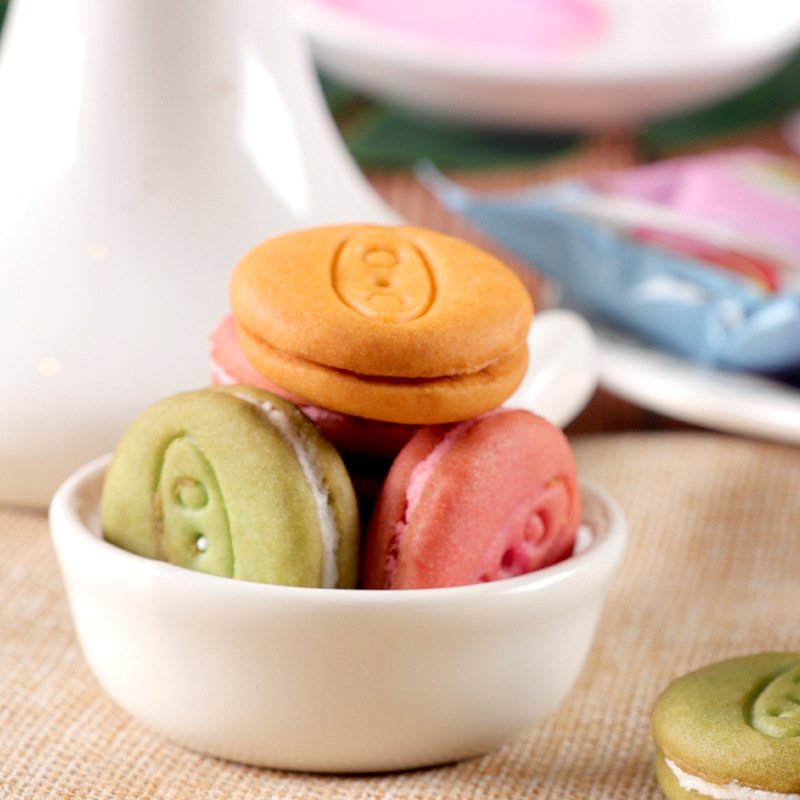 Simply packaged macaron cookies 300g | Wingoo biscuit Manufacturers